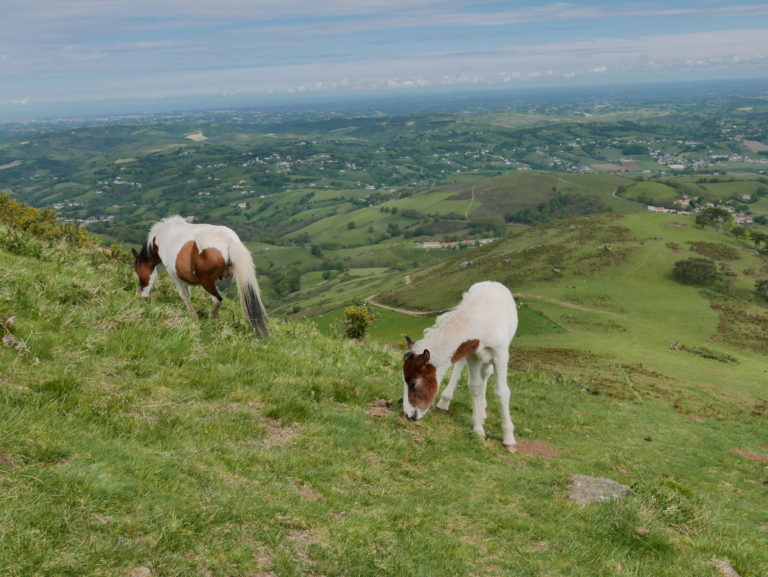 Ursuya - Walks in the Basque country